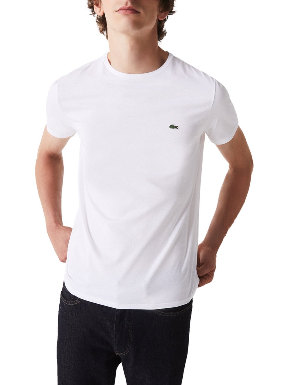Lacoste shirt store